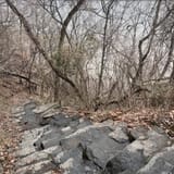 Allison Park Loop, New Jersey - 954 Reviews, Map | AllTrails