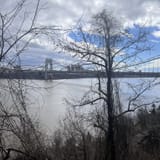 Allison Park Loop, New Jersey - 954 Reviews, Map | AllTrails