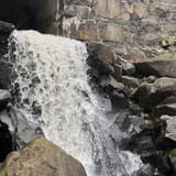 Allison Park Loop, New Jersey - 954 Reviews, Map | AllTrails