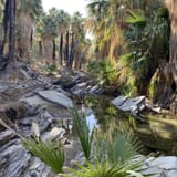 Victor Loop, California - 1,522 Reviews, Map | AllTrails