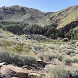 Victor Loop, California - 1,522 Reviews, Map | AllTrails