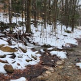 Copple Crown Mountain, New Hampshire - 574 Reviews, Map | AllTrails