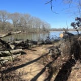 Herb Parsons Lake Green Trail, Tennessee - 830 Reviews, Map | AllTrails