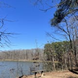 Herb Parsons Lake Green Trail, Tennessee - 830 Reviews, Map | AllTrails