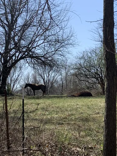 Best Hikes and Trails in Edgar M Queeny County Park | AllTrails