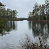 Goose Pond Loop, New Hampshire - 720 Reviews, Map | AllTrails