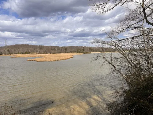 Best Hikes and Trails in Maxwell Hall Natural Resource Management Area ...
