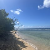 Reef Bay Trail, Saint John, US Virgin Islands - 1,019 Reviews, Map ...