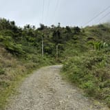 Cerro de Punta, Central Region, Puerto Rico - 113 Reviews, Map | AllTrails