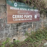 Cerro de Punta, Central Region, Puerto Rico - 129 Reviews, Map | AllTrails