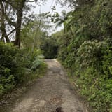 Cerro de Punta, Central Region, Puerto Rico - 129 Reviews, Map | AllTrails