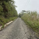 Cerro de Punta, Central Region, Puerto Rico - 129 Reviews, Map | AllTrails