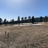 Elk Meadow, Colorado - 1,311 Reviews, Map | AllTrails
