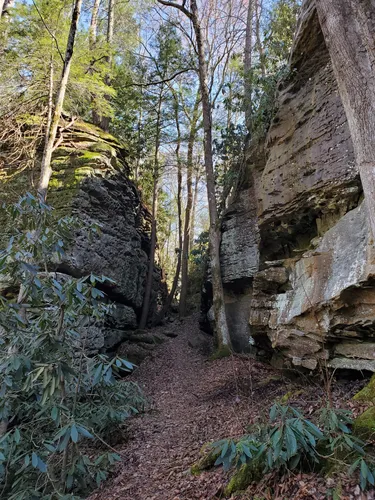 Best Hikes and Trails in Strunk | AllTrails