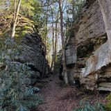 Split Bow Arch Loop, Kentucky - 200 Reviews, Map | AllTrails
