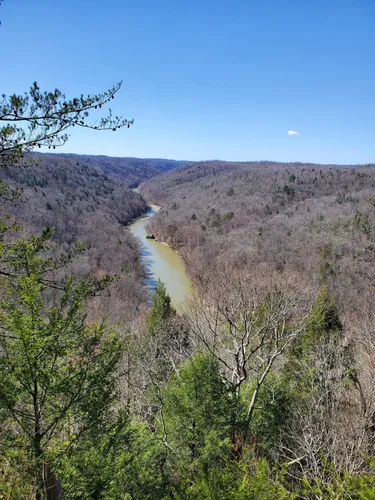 Best Hikes and Trails in Strunk | AllTrails