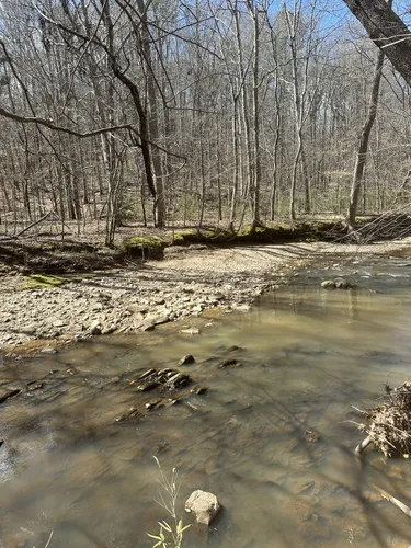 Carl Alwin Schenck Memorial Forest: de beste routes om te wandelen ...