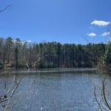 Cedar Ridge Trail Loop, North Carolina - 653 Reviews, Map | AllTrails