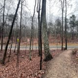 The Pinnacle via Ridgeline Trail and Boulders Access, North Carolina ...