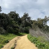 Fryman Canyon Trail, California - 6,148 Reviews, Map | AllTrails