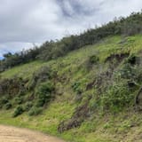 Fryman Canyon Trail, California - 6,148 Reviews, Map | AllTrails