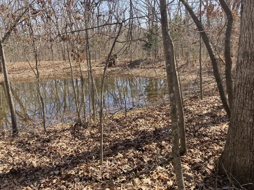 Best Hikes and Trails in Fewel Conservation Area | AllTrails