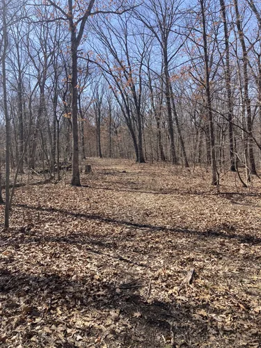 Best Hikes and Trails in Fewel Conservation Area | AllTrails