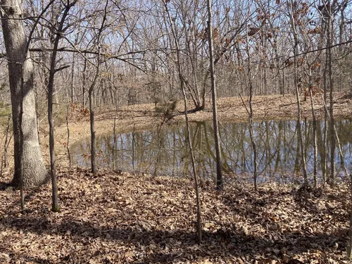 Best Hikes and Trails in Fewel Conservation Area | AllTrails