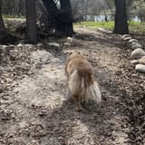 Lost Lake Nature Trail, California - 183 Reviews, Map | AllTrails