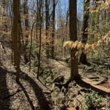 Henderson Park Loop, Georgia - 1,591 Reviews, Map | AllTrails