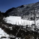 Cub Lake Loop, Colorado - 1,964 Reviews, Map | AllTrails