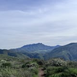 Ray Miller Backbone Trail, California - 2,004 Reviews, Map | AllTrails