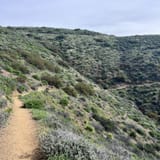 Ray Miller Backbone Trail, California - 2,004 Reviews, Map | AllTrails