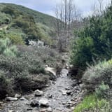Ray Miller Backbone Trail, California - 2,004 Reviews, Map | AllTrails
