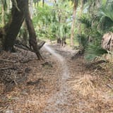 Econlockhatchee River Trail, Florida - 449 Reviews, Map | AllTrails