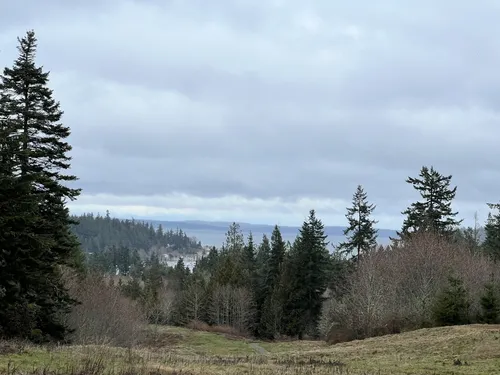 Best Forest Trails in Port Ludlow | AllTrails
