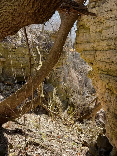 Best Hikes and Trails in Oakfield | AllTrails