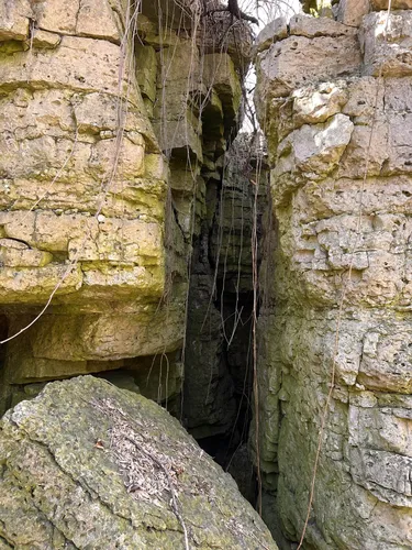 Best Hikes and Trails in Oakfield | AllTrails