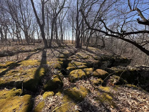 Best Hikes and Trails in Oakfield | AllTrails