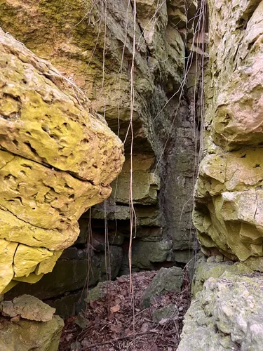 Best Hikes and Trails in Oakfield | AllTrails