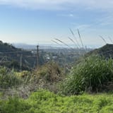 Murphy Ranch Trail, California - 3,638 Reviews, Map | AllTrails