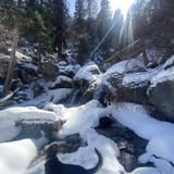 Thomas Trail Loop, Colorado - 1,069 Reviews, Map | AllTrails