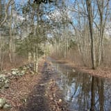 Farmsite Simmons Pond Loop, Rhode Island - 691 Reviews, Map | AllTrails