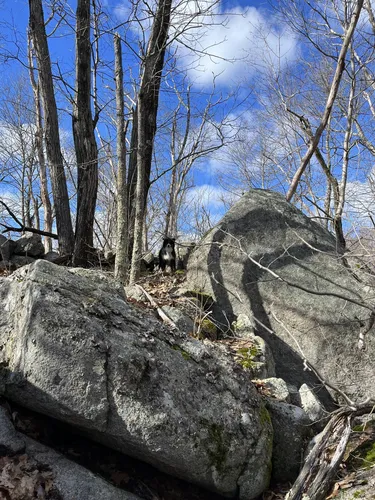 Best Trail Running Trails in Wrentham State Forest | AllTrails