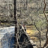 Cochran Mill Loop 1 and 2 (Orange), Georgia - 820 Reviews, Map | AllTrails