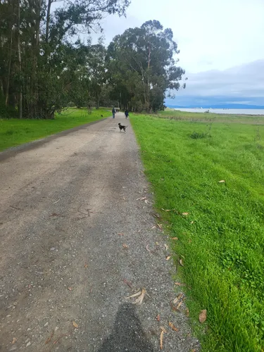 Best Views Trails in Point Pinole Regional Park | AllTrails