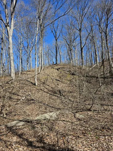 Best Hikes and Trails in Fox Ridge State Park | AllTrails