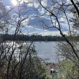 Batsto Lake Trail, New Jersey - 1,583 Reviews, Map | AllTrails