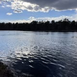 Batsto Lake Trail, New Jersey - 1,583 Reviews, Map | AllTrails