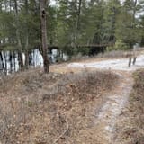 Batsto Lake Trail, New Jersey - 1,583 Reviews, Map | AllTrails